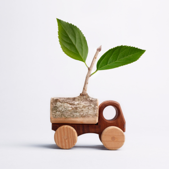 Driving Green - A Few Eco-Friendly Driving Habits | motorly